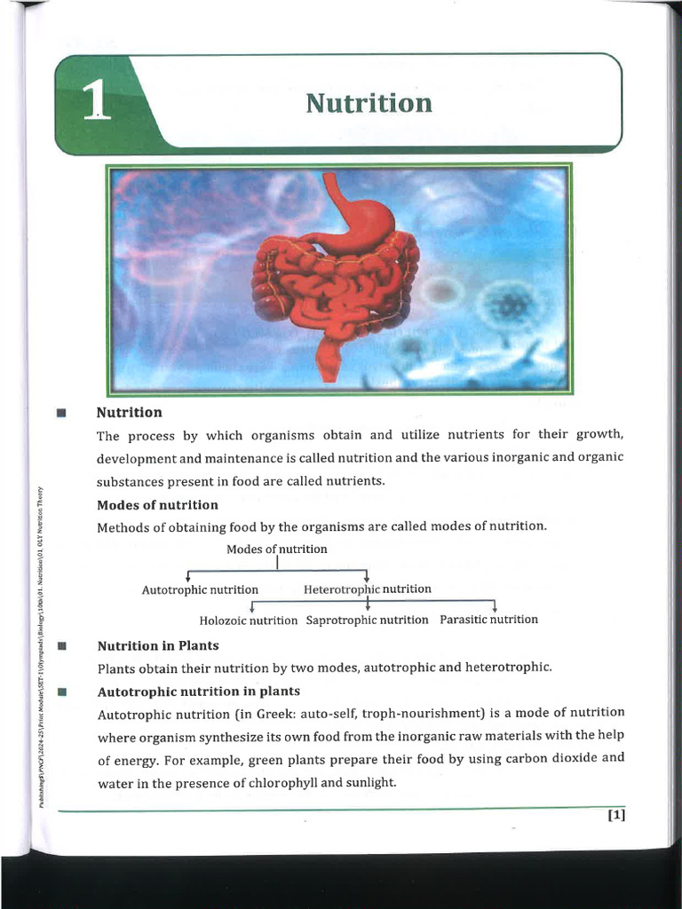 Biology - Nutrition | PDF