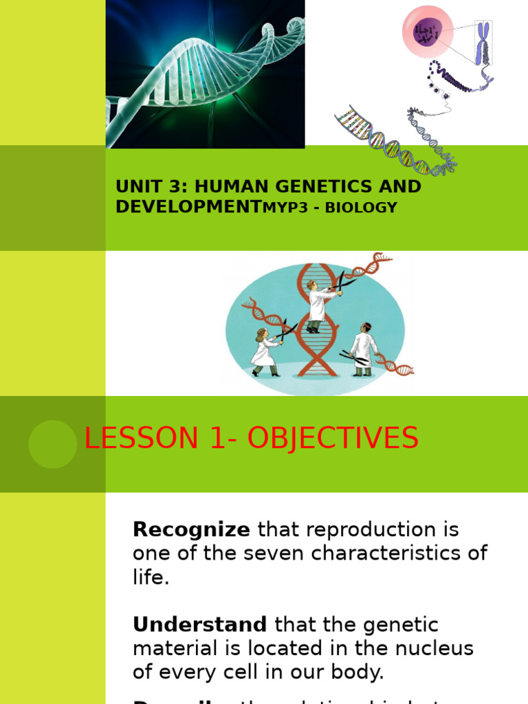 Genetics and Human Development Genes and The Fetus | PDF | Genotype | Twin
