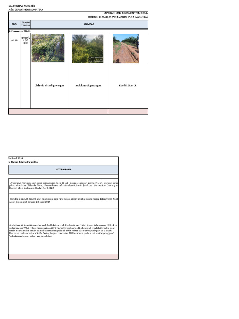 Dokumentasi Asessment dan Action Plan TBM 3 kebun P-JM April'24 | PDF