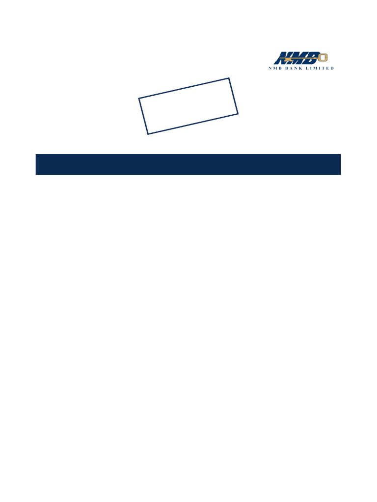 NMB Bank Account Statement Summary | PDF | Debits And Credits | Money