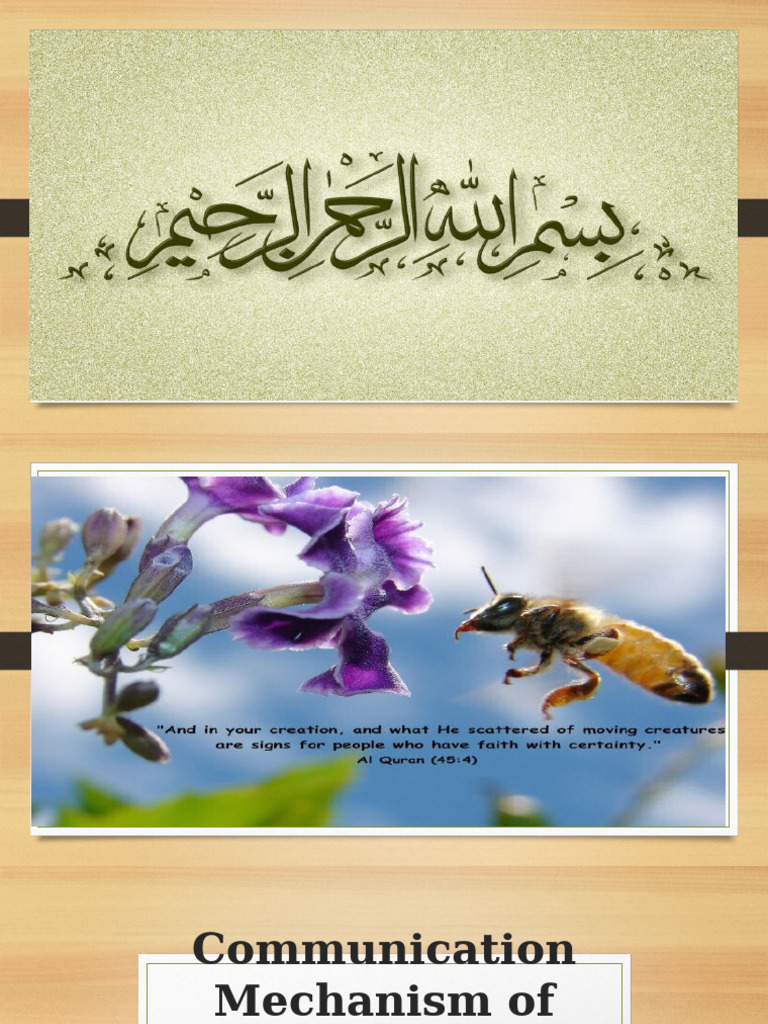 Communicaion Mechanism of Bees | PDF | Bees | Honey Bee