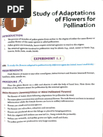 Flower Adaptations for Pollination Study | PDF | Flowers | Pollination