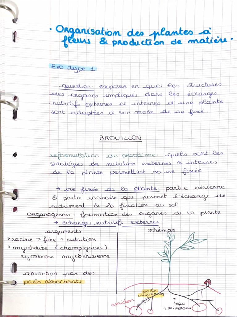 Mon Brouillon | PDF