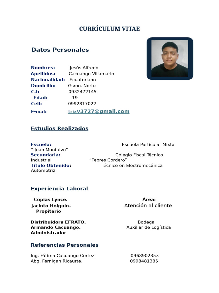 Currículum Vitae JC | PDF