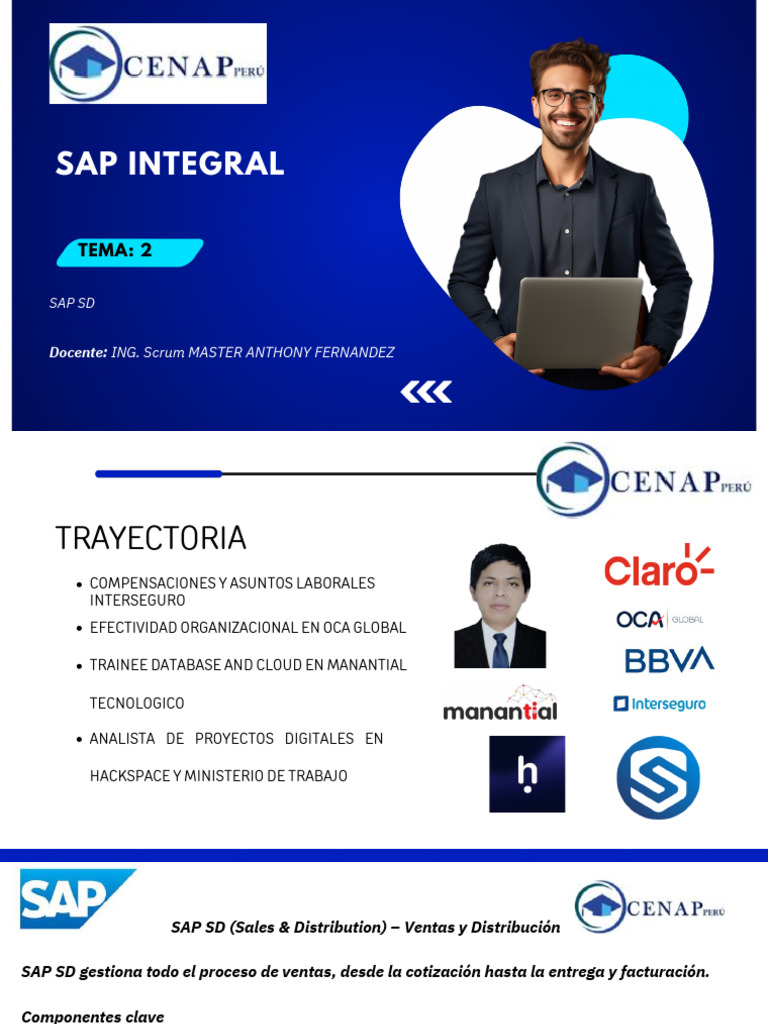 Sap Integral - Sap SD | PDF