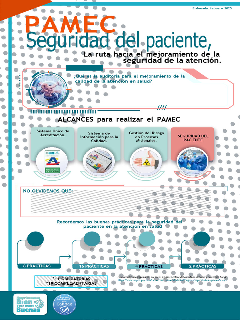 Pamec-Seguridad Del Paciente | PDF | Seguridad del paciente | Auditoría