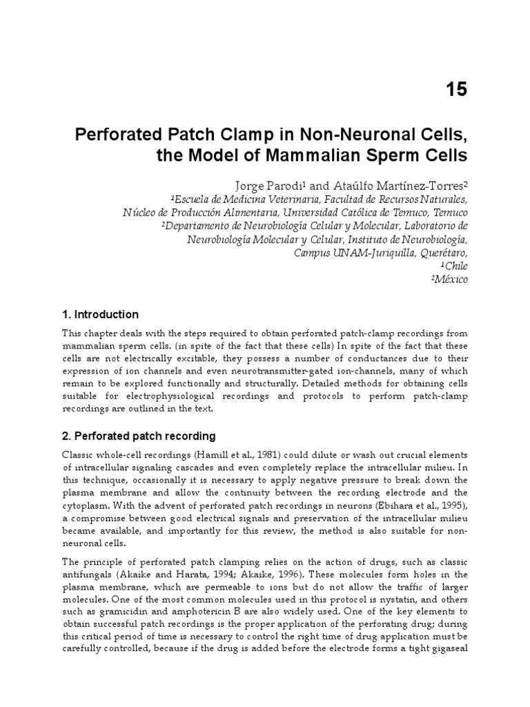 InTech-Perforated Patch Clamp in Non Neuronal Cells The Model of ...