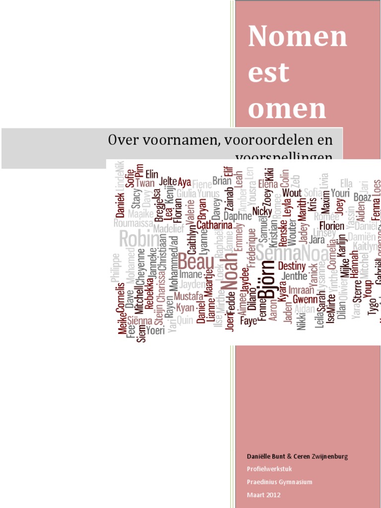 Verslag 6 Bijna Definitief Alleen Nog Inhoud en Lit. Lijst | PDF