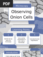 Onion Staining and Cell Size | PDF | Microscopy