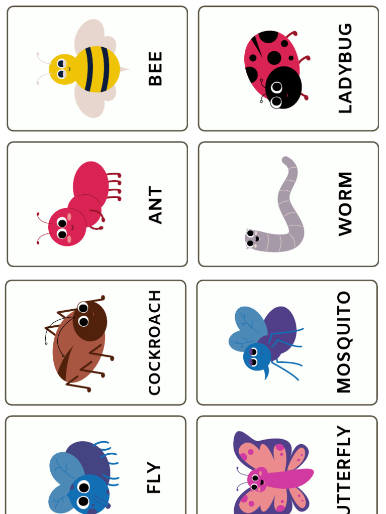 Insects Flashcards | PDF