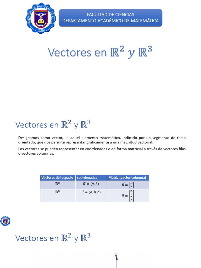 Espacio Euclidiano | PDF | Vector Euclidiano | Matriz (Matemáticas)