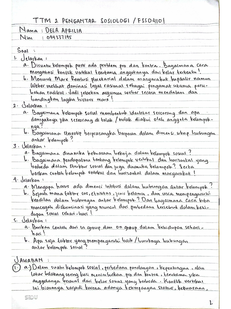 TTM2 Sosiologi | PDF