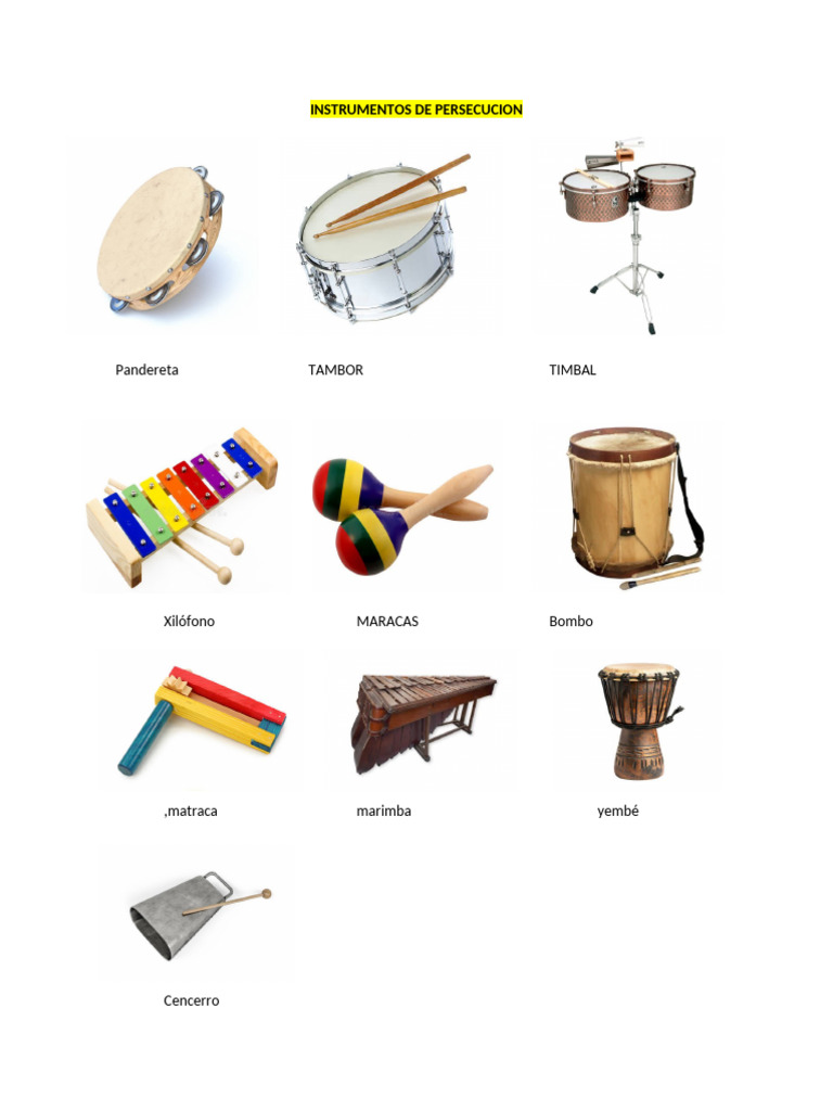 Instrumentos de Persecución Musical | PDF
