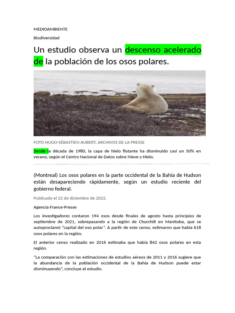 El Oso Polar Traduccion | PDF | Oso polar | Osos