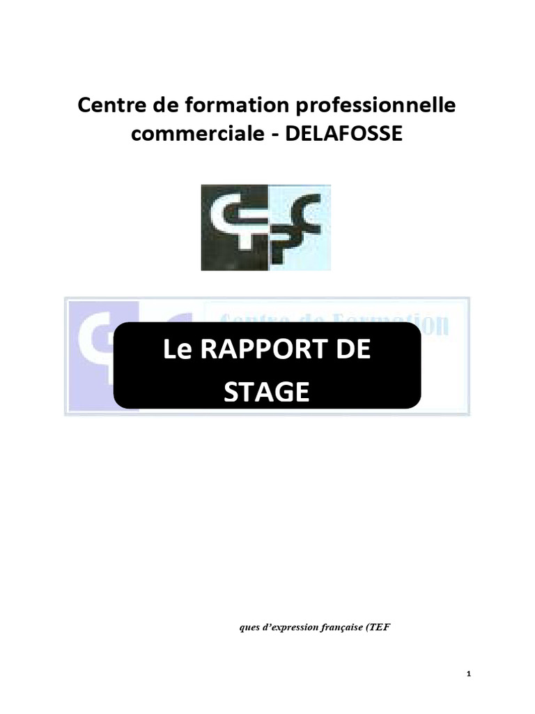 Le Rapport de Stage Au CFPC Final | PDF