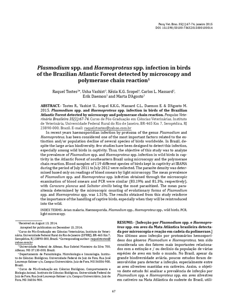 Plasmodium Spp. e Haemoproteus Spp. Infecção em Aves - ARTIGO | PDF ...