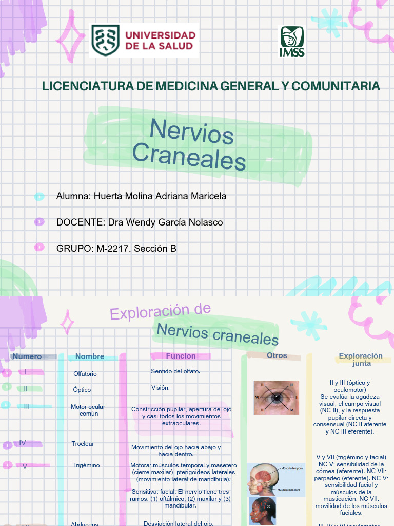 Nervios Craneales | PDF | Lengua | Anatomía humana