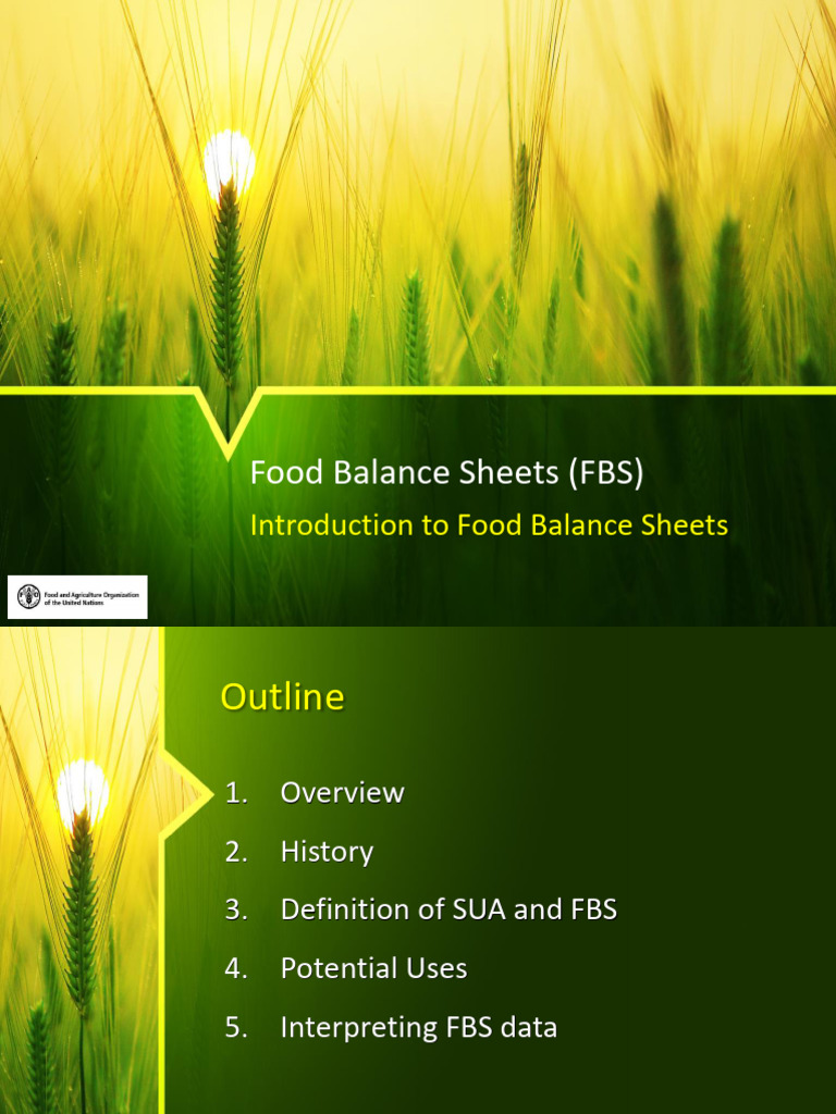 Introduction To Food Balance Sheets | PDF | Food Security | Foods