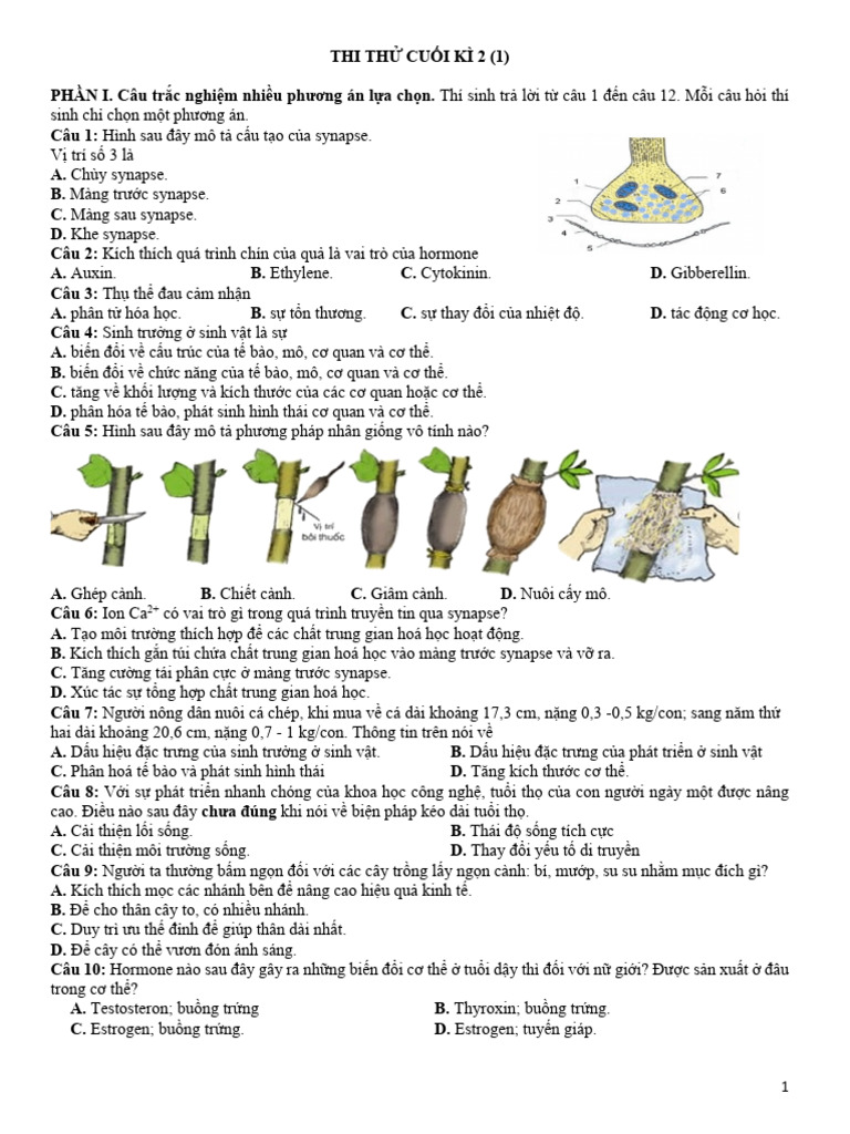 KIỂM TRA CK2 1 | PDF