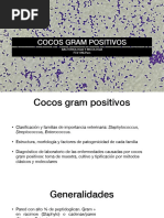 Características Del Exudado Purulento | PDF | Infección | Medicina CLINICA