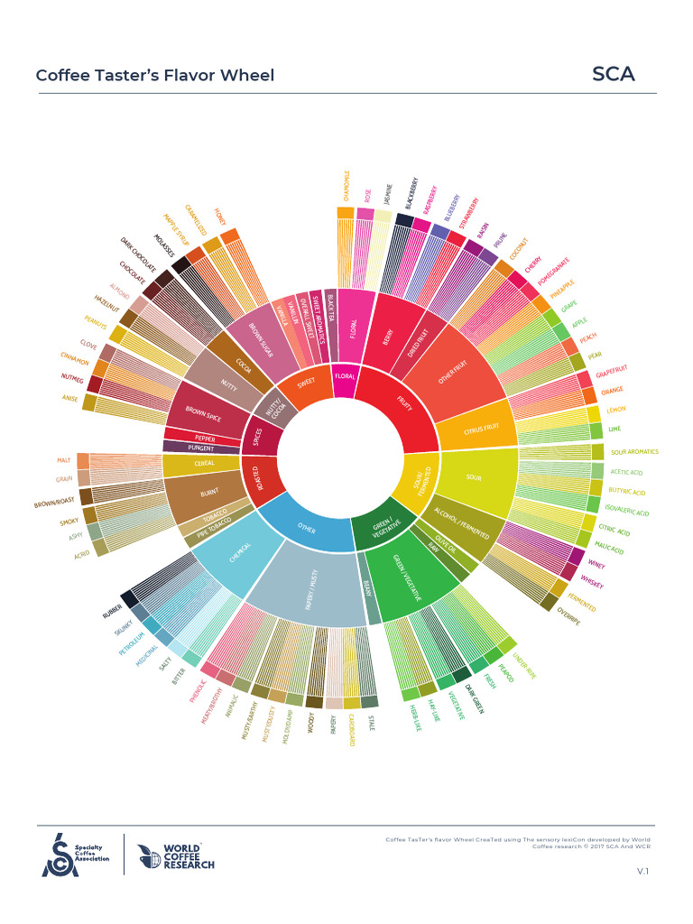 Coffee Taster's Flavor Wheel - 01 ENG 50x70 | PDF