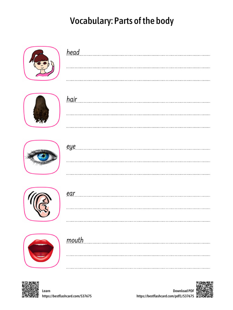 Body Parts Vocabulary Guide | PDF
