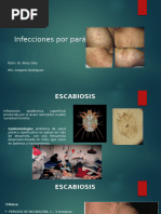 Tungiasis: diagnóstico y tratamiento | PDF | Piel | Especialidades Medicas