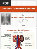 CT Urography: Techniques & Protocols | PDF | Ct Scan | Kidney