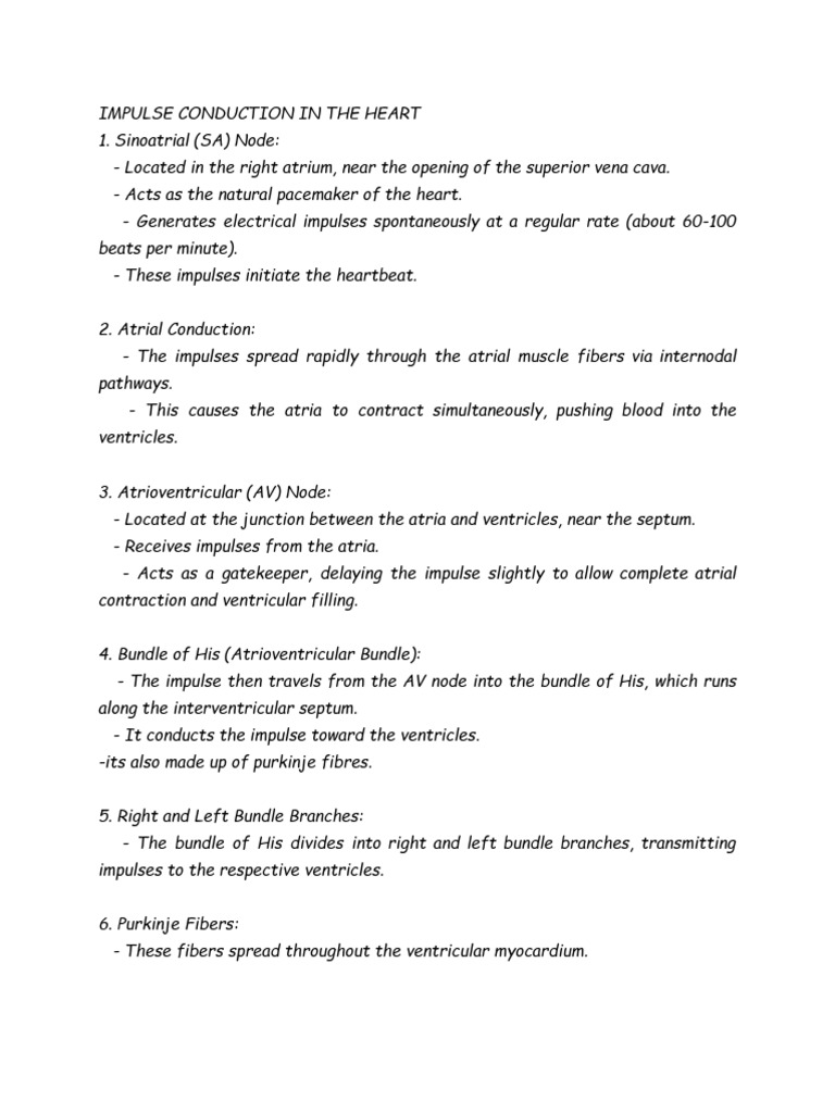 Impulse Transmission in The Heart | PDF