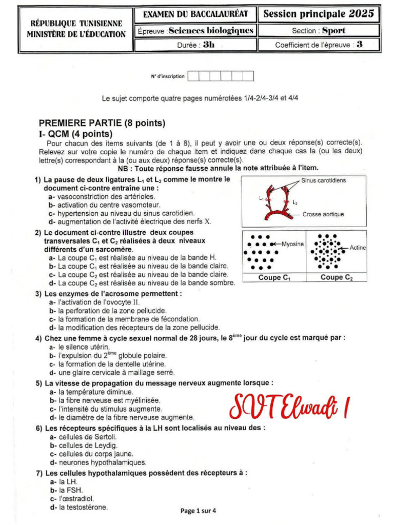 SVT Bac 2025 Tunisie | PDF