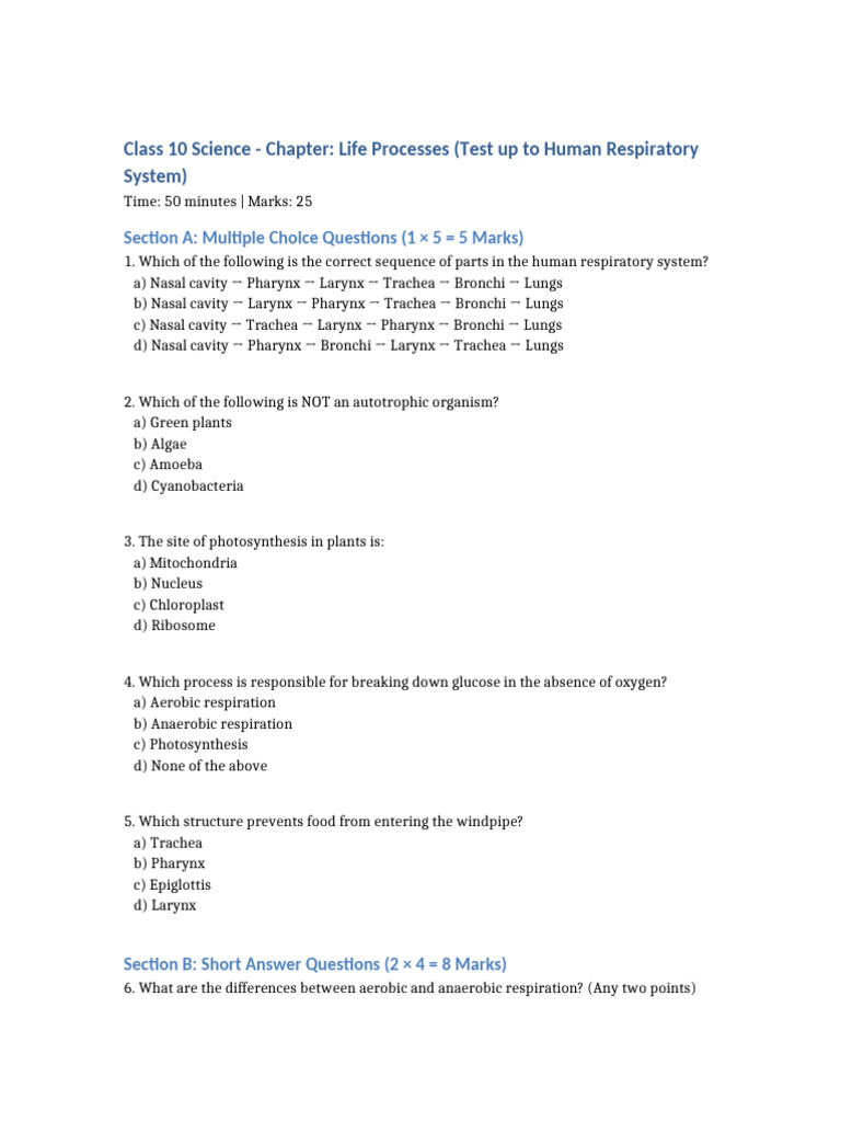 Class 10 Respiratory System Test | PDF