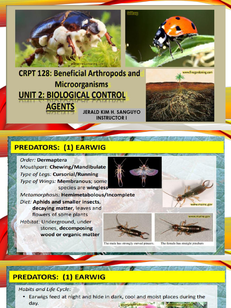 CRPT 128 Chapter 3 Updated | PDF