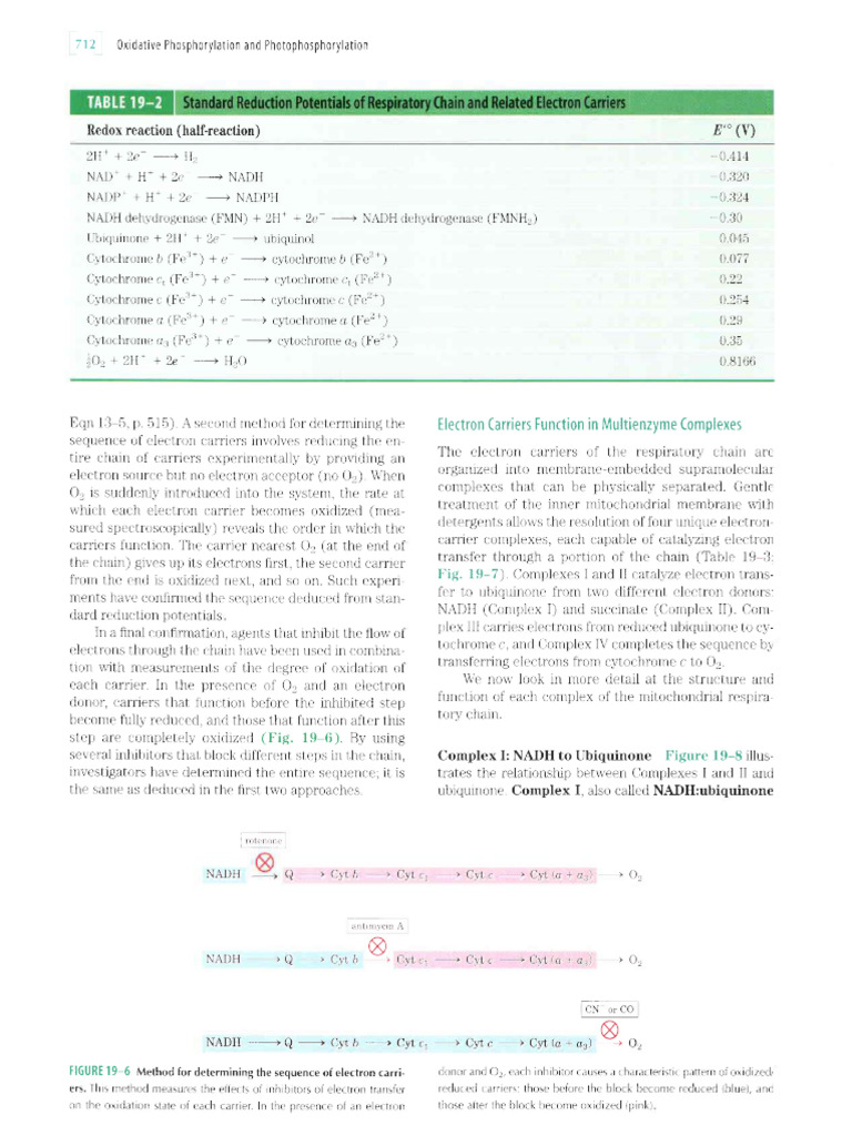 ETC Full Topic | PDF