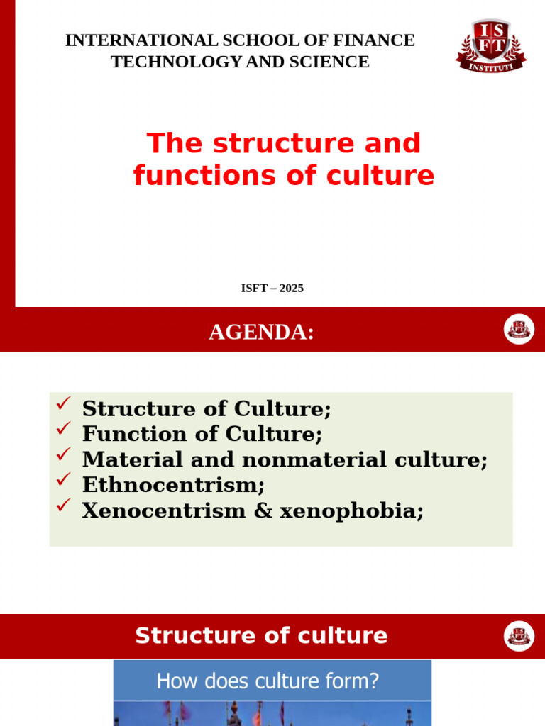 CTCulture 3 | PDF