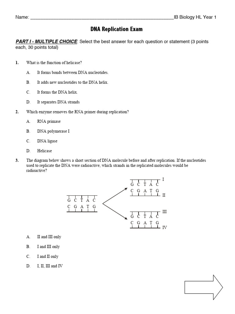 Replication Exam | PDF | Dna Replication | Dna