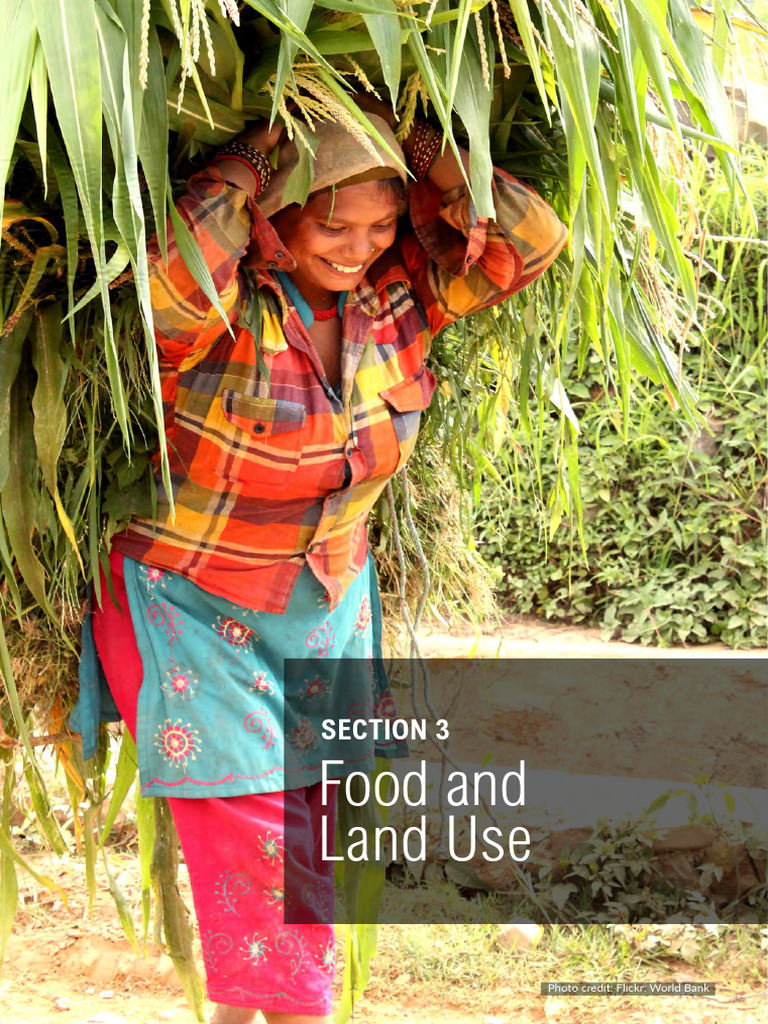 Nce 2018 Food and Land Use 6 | PDF | Deforestation | Forests