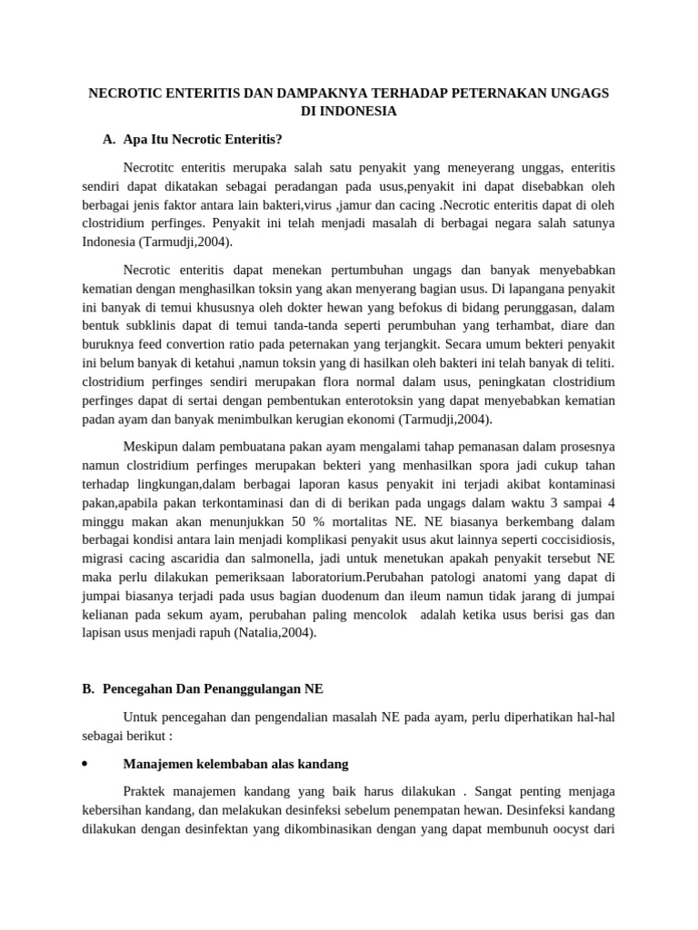 Dampak Necrotic Enteritis pada Ayam | PDF