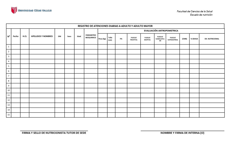 Registro De Atenciones Diarias A Adulto Y Adulto Mayor Pdf
