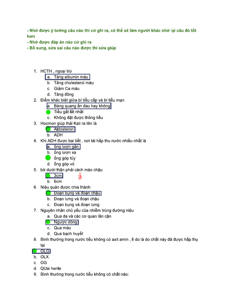 Y16 20 Than Nieu | PDF