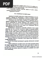 Atlas Anatomie Netter - Romana | PDF