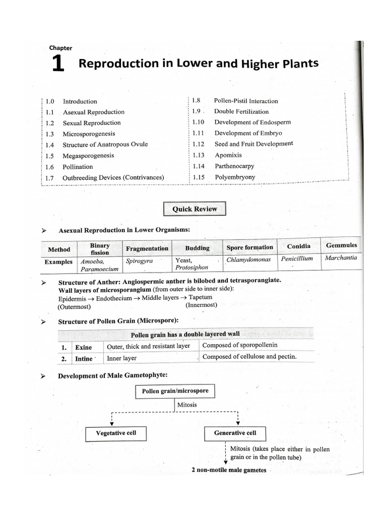 Biology Concept Map-1-30 | PDF