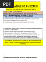 3 ISIXHOSA HL WORKSHEEET NOTES - QUESTIONS AND ANSWERS GRADE 11 DRAMA ...