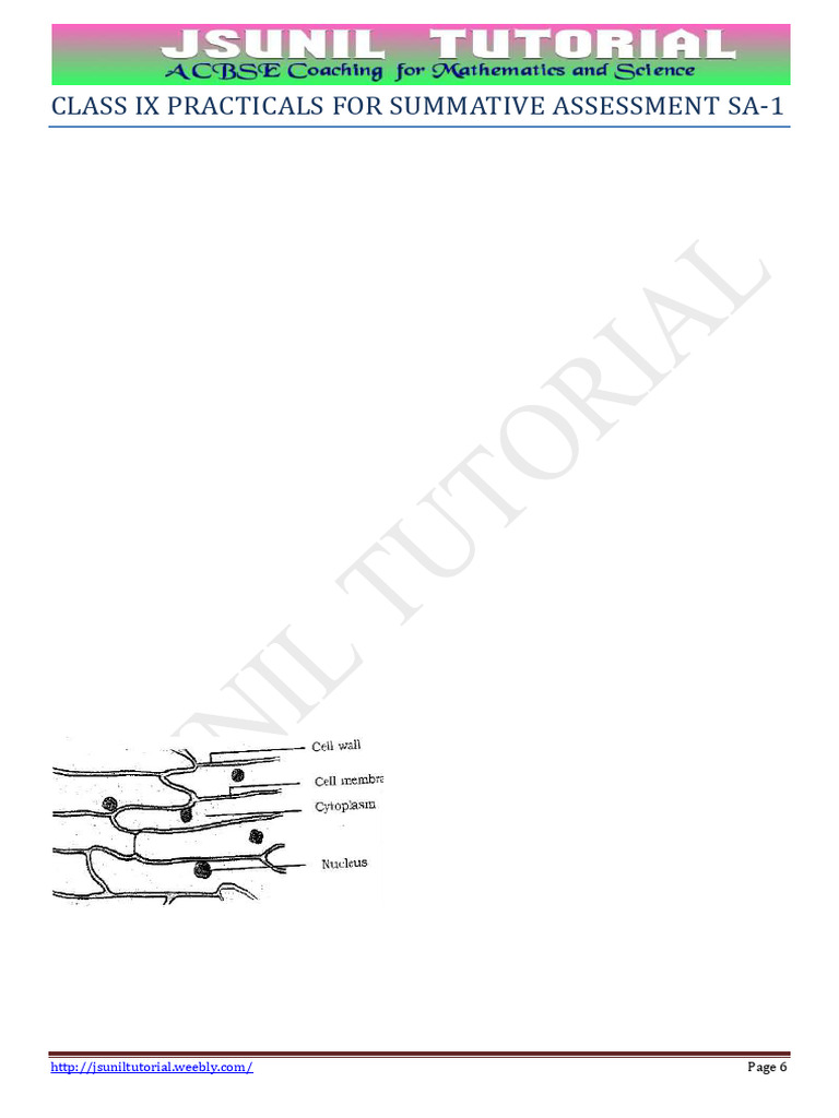 9th Lab Skil Sa1 Experiment-5 | PDF