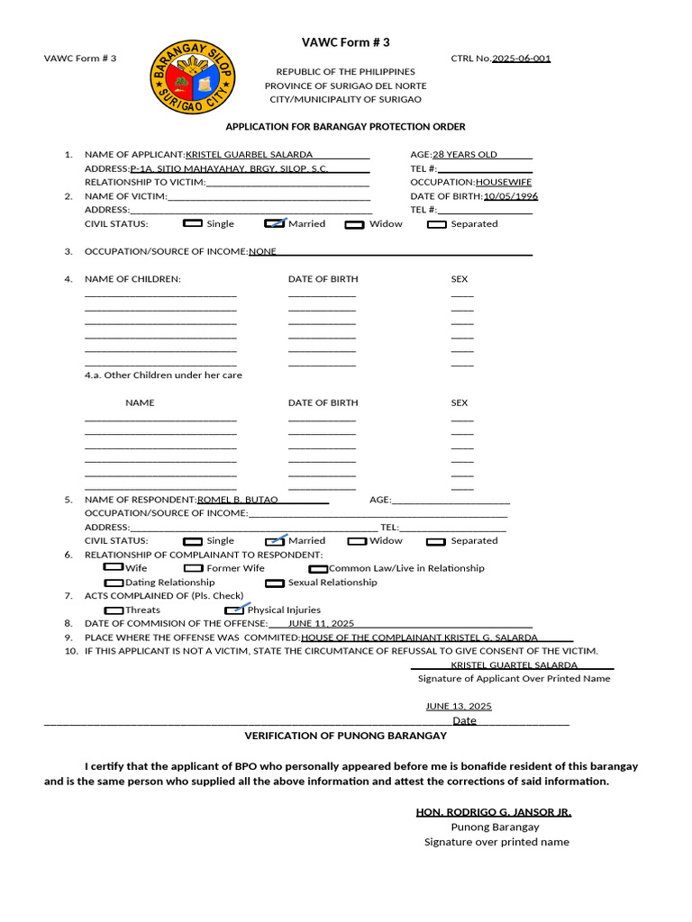 Vaw Form Complete | PDF | Rape | Violence Against Women