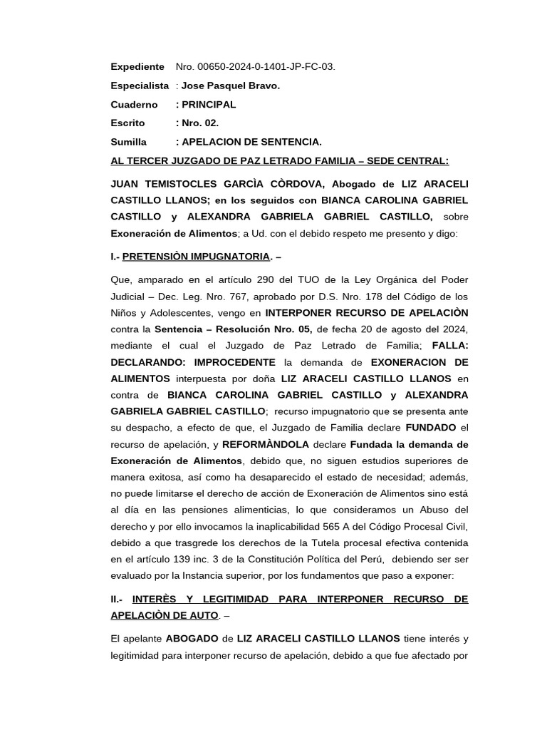 Apelacion de Sentencia de Lis Castillo | PDF | Apelación | Demanda judicial