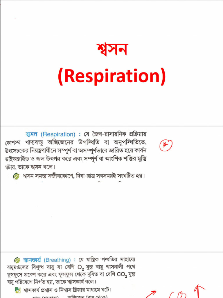 Repiration PDF | PDF