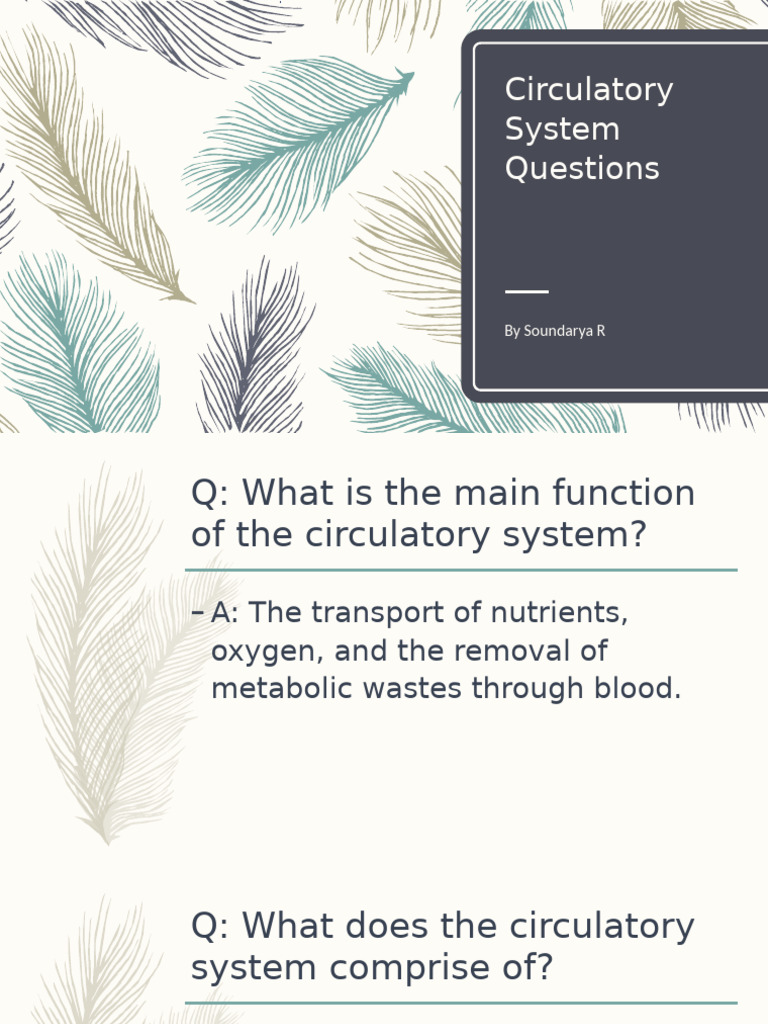 Circulatory System Questions | PDF | Vein | Heart
