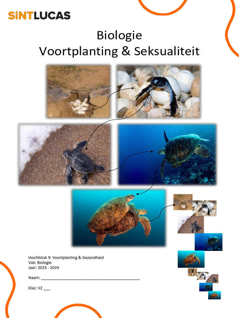 Reader H9 Biologie 2024-2025 | PDF