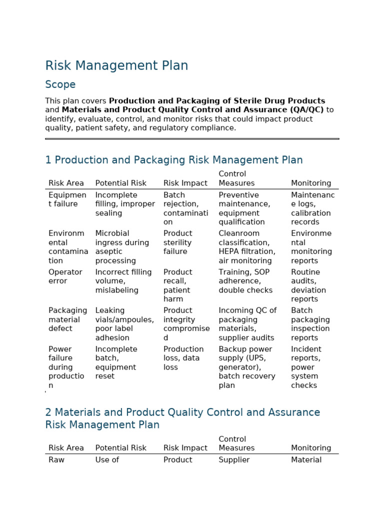 Risk Management Plan | PDF | Risk Management | Audit