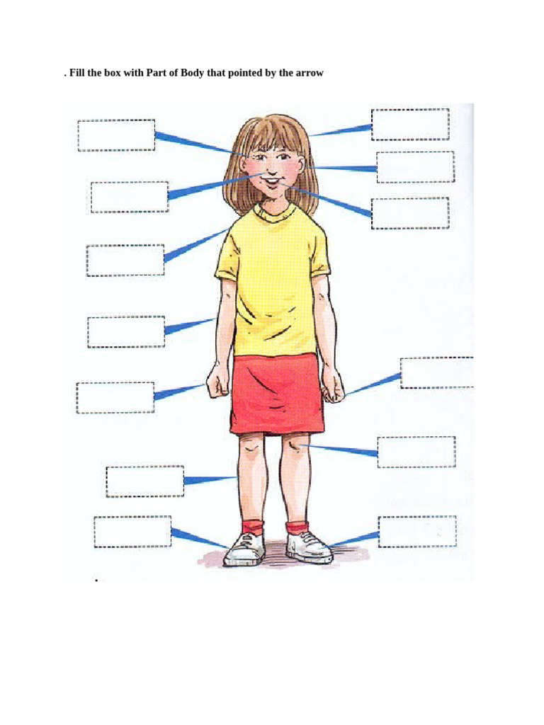 Fill The Box With Part of Body That Pointed by The Arrow | PDF
